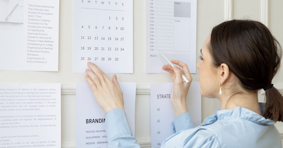 타임라인 관리 도구 Aeon Timeline 3 사용법 완벽가이드